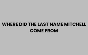 Where Did the Last Name Mitchell Come From? Origins Explained