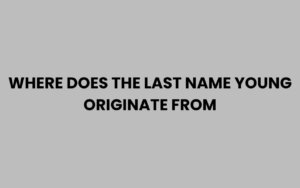 Where Does the Last Name Young Originate From?