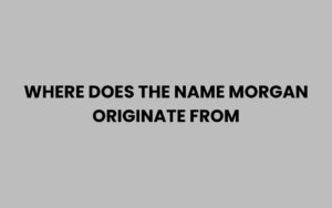 Where Does the Name Morgan Originate From? Meaning & Roots