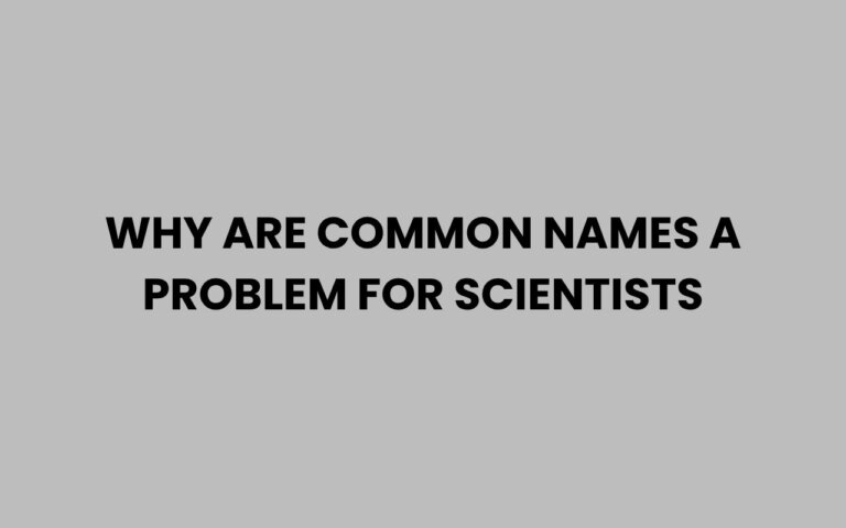 Why Are Common Names a Problem for Scientists Explained